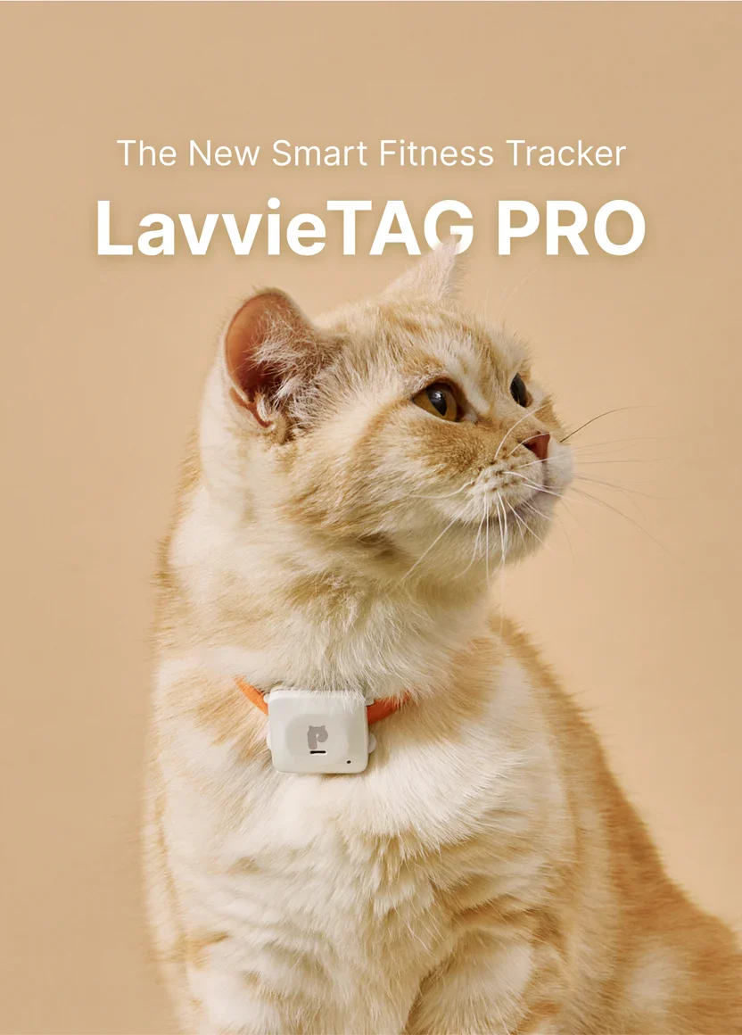 Keep Tabs on Your Cat's Health with a Lightweight Activity Tracker ...